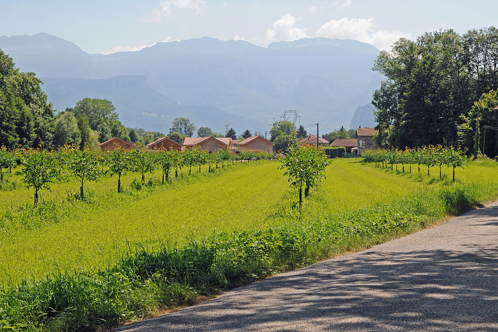 Paysage rural, paysage urbain - Paysage Pays Voironnais